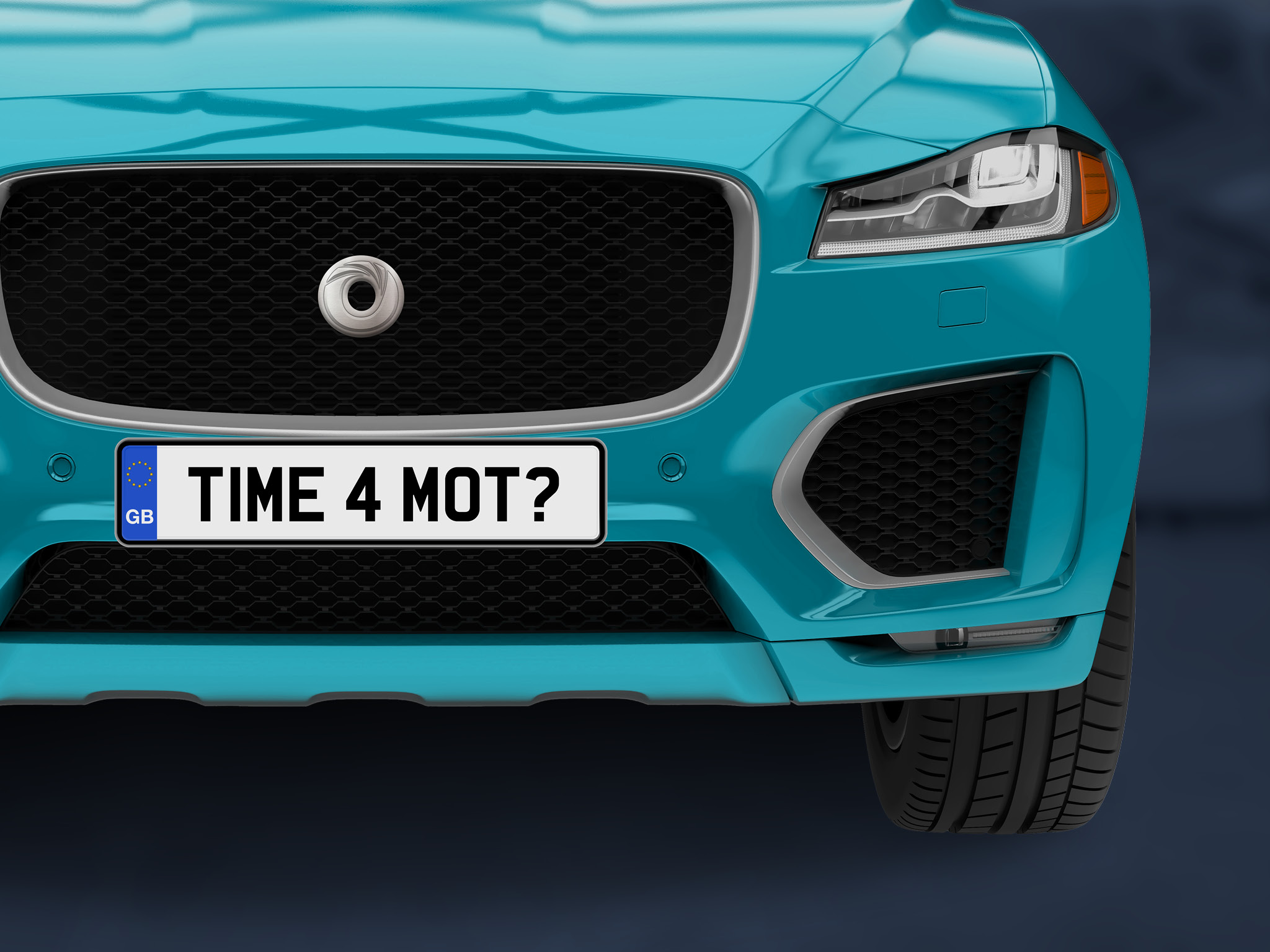 Is it time for a flooring MOT? Full-service health check for your ...